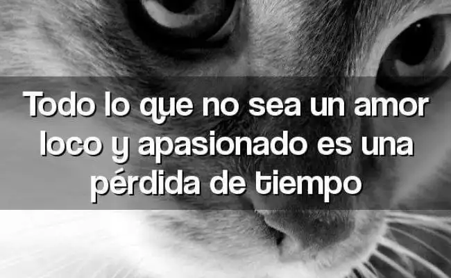 Amor loco yendo al pasado para comprender - Señal de Alerta